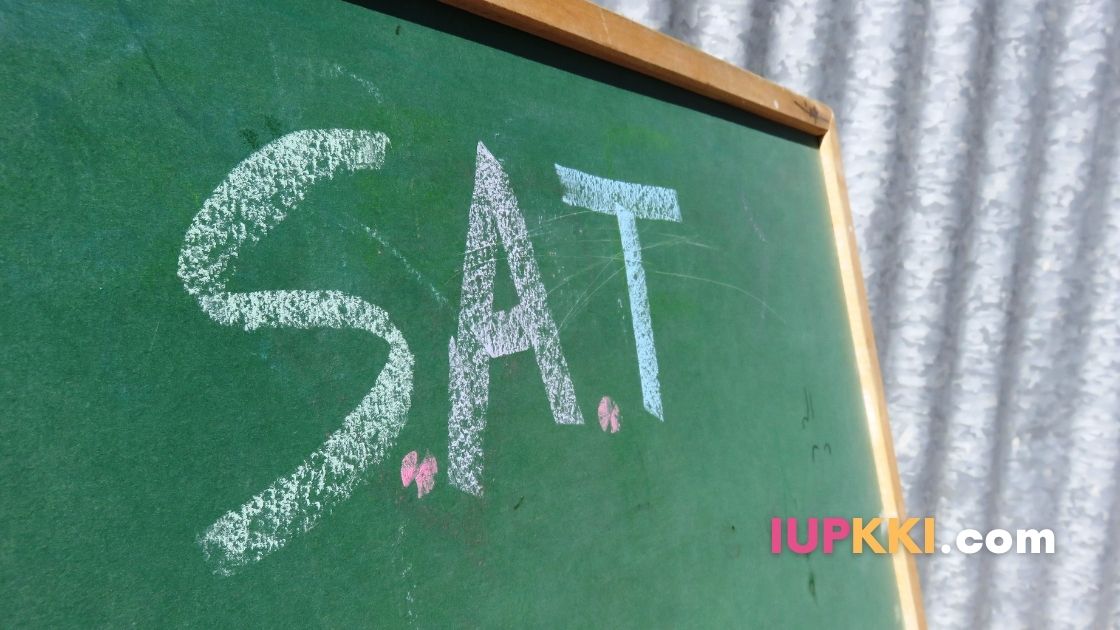 Tes SAT College Board Akan Sepenuhnya Online ? - IUP KKI